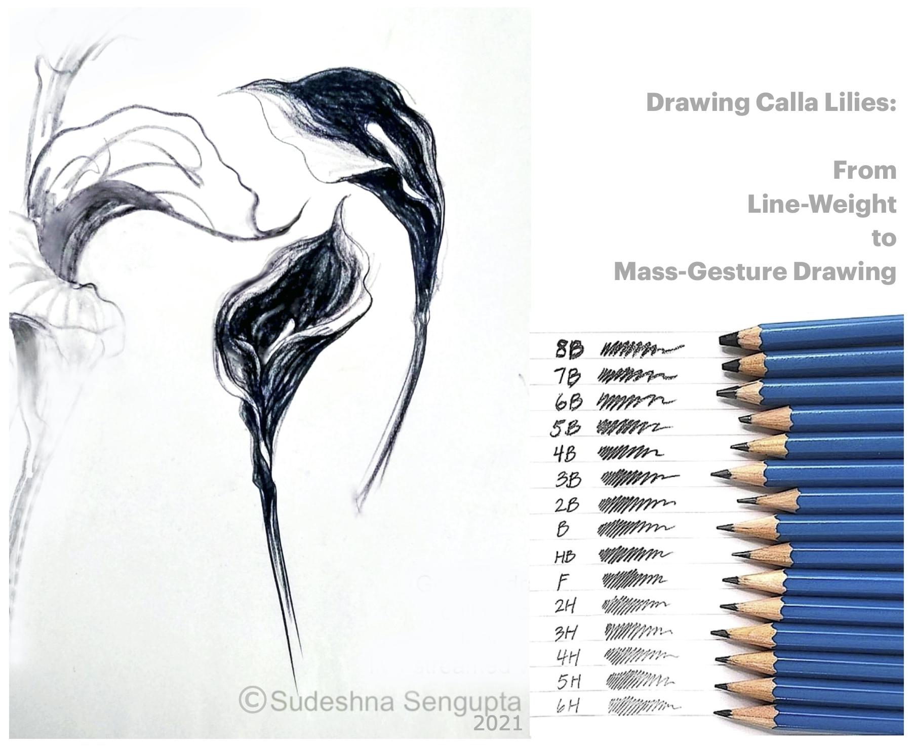 Nature Sketching: Lilies – Notes & Doodles