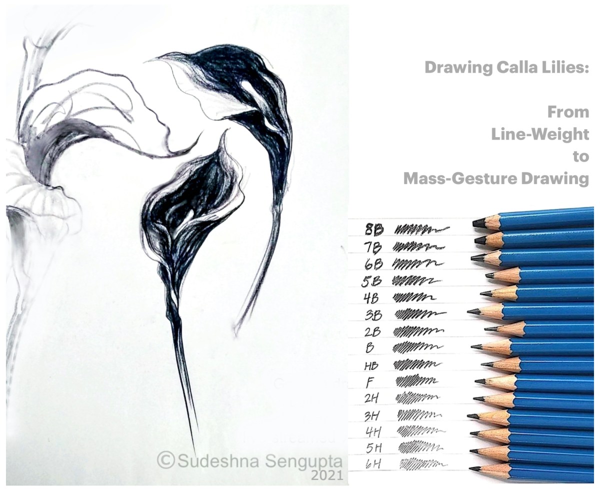 Nature Sketching: Lilies – Notes & Doodles