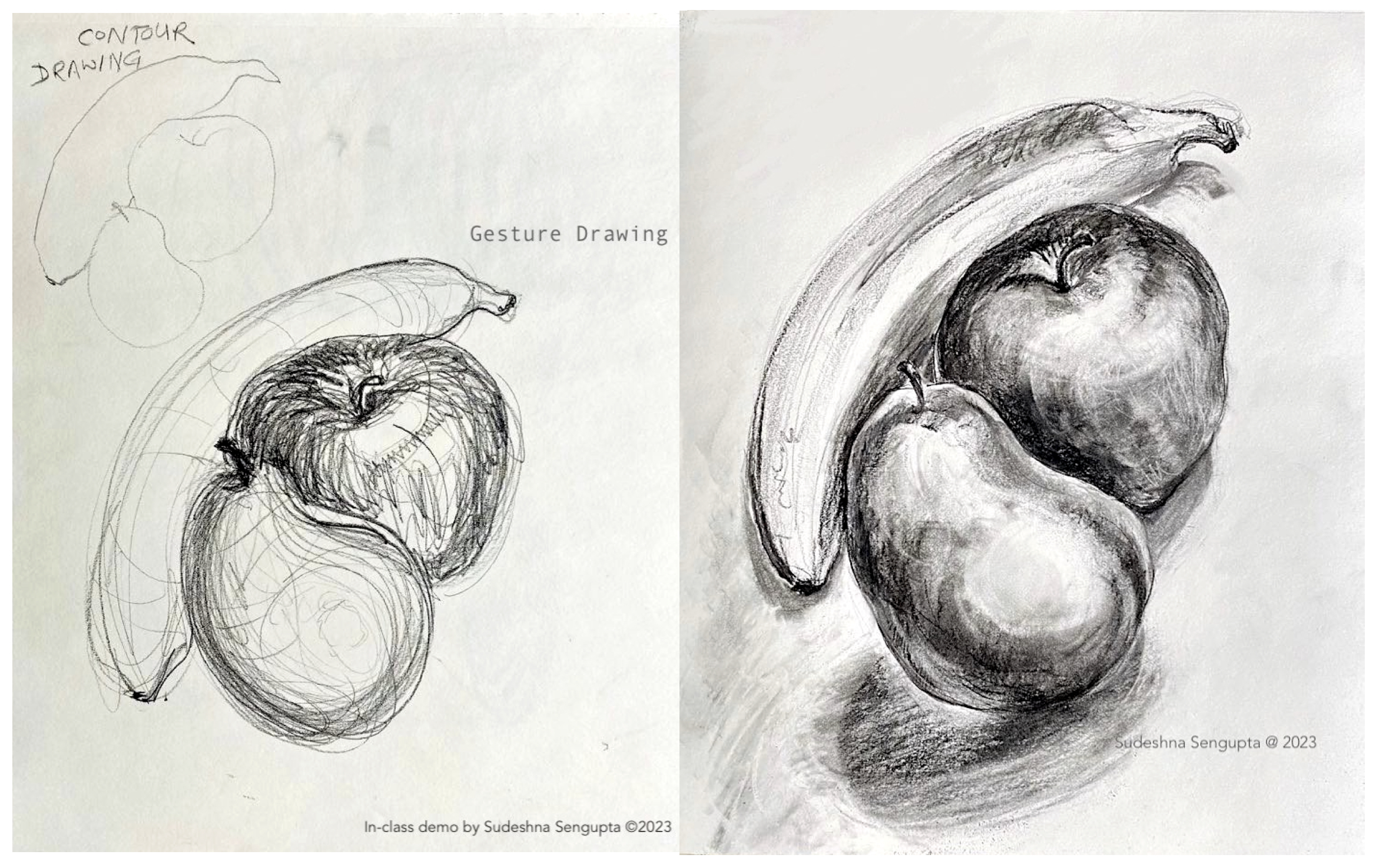Observational Drawing: Still-life – Notes & Doodles
