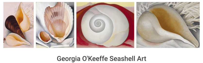 Nature Study: Shells & Pebbles – Notes & Doodles