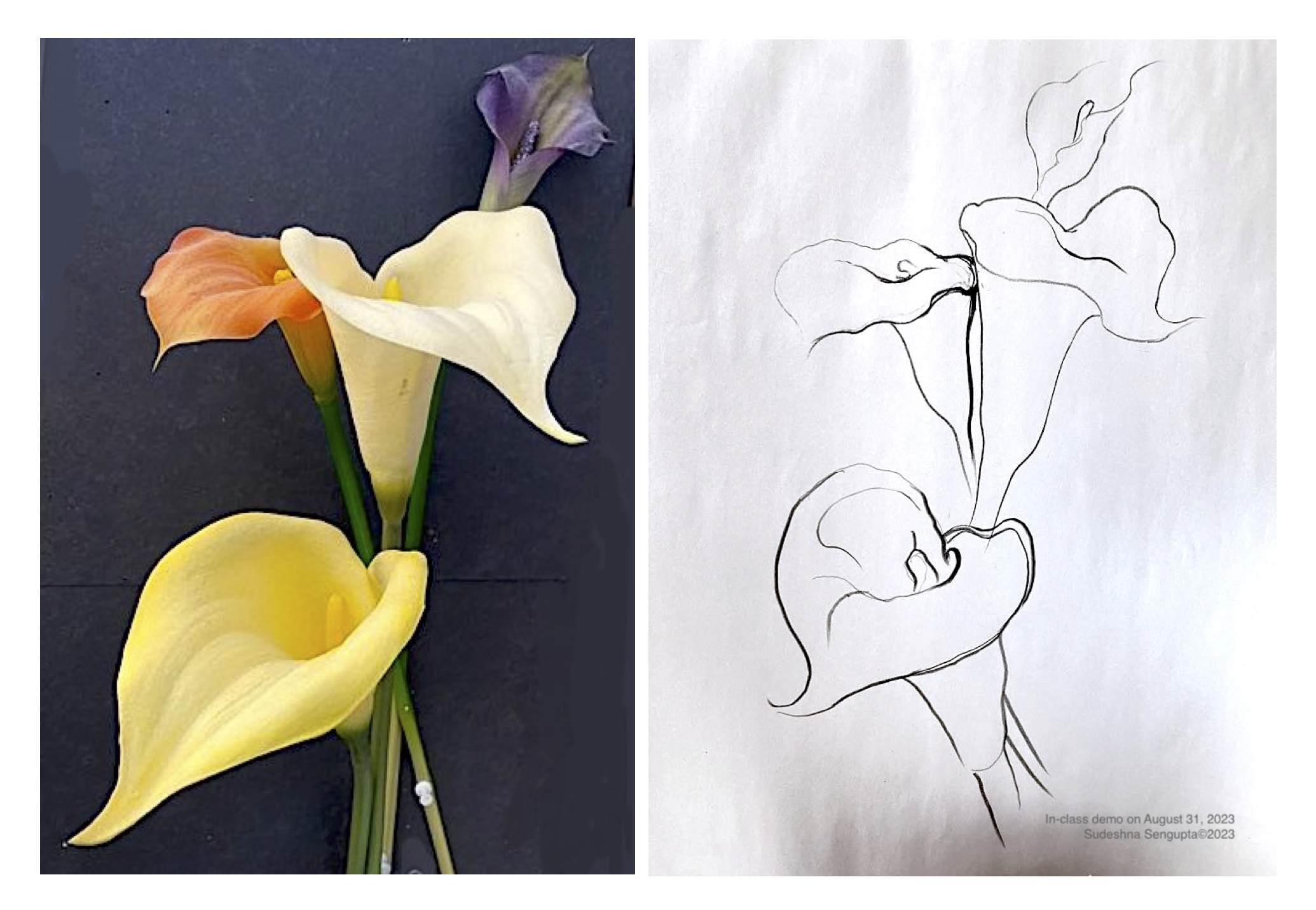 Line Drawing – Notes & Doodles